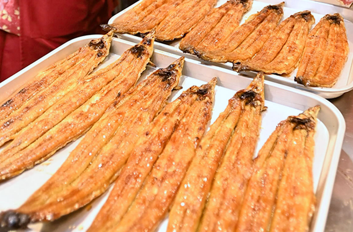 ウナギ食べて景気づけ 7／24「土用の丑の日」 高知市の専門店に客続々 | 高知新聞