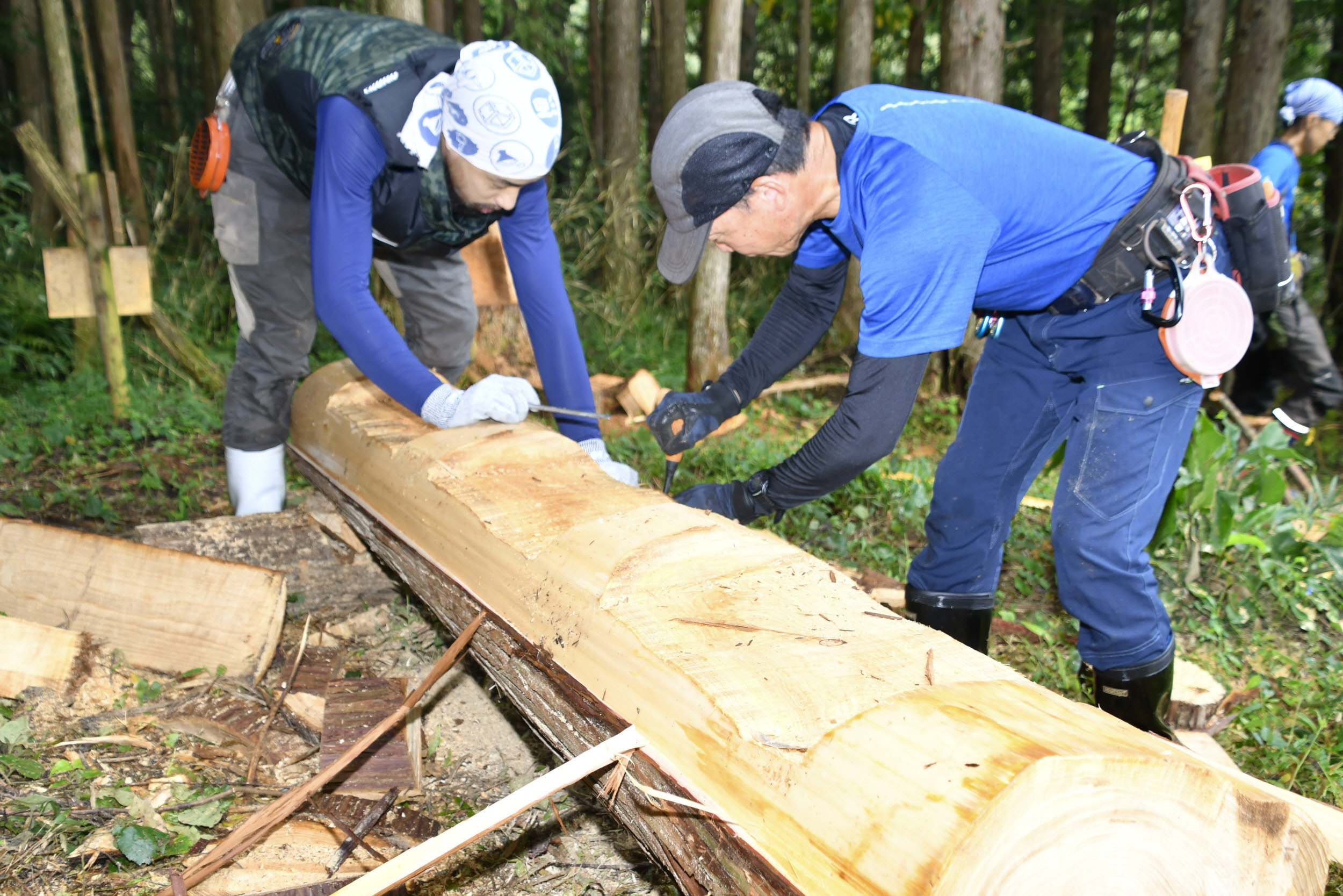牧野博士の里山、座って観察を 遊歩道にベンチ 佐川町の住民団体 | 高知新聞