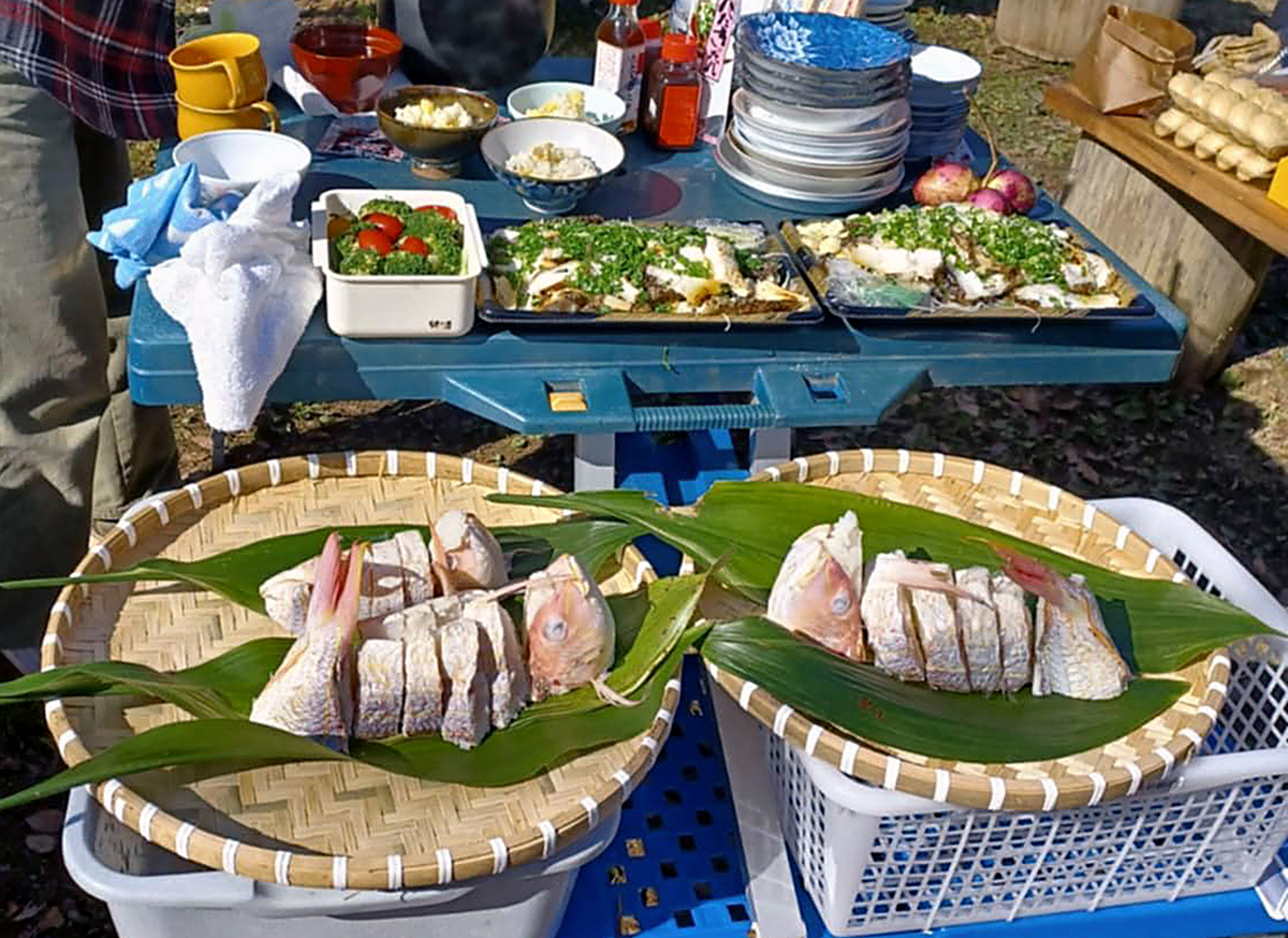 「カラスミしようか！」 母の料理に育てられた 弘瀬伸洋―魚信 はっぴぃ魚ッチ | 高知新聞