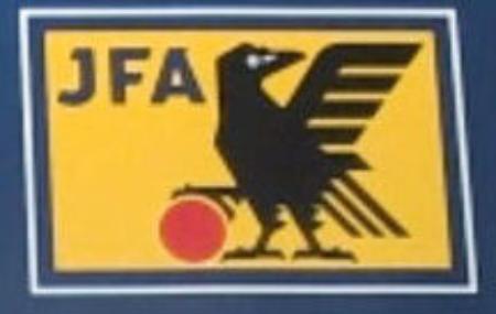 PK水かけは主審の裁量で JFA審判委員会が見解 | 高知新聞